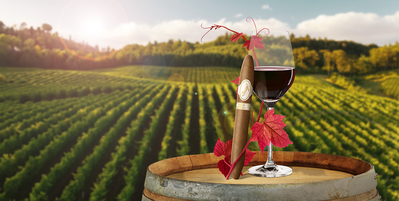 Davidoff Grand Cru Diademas Finas x World Pinot Noir Day – nextCIGAR