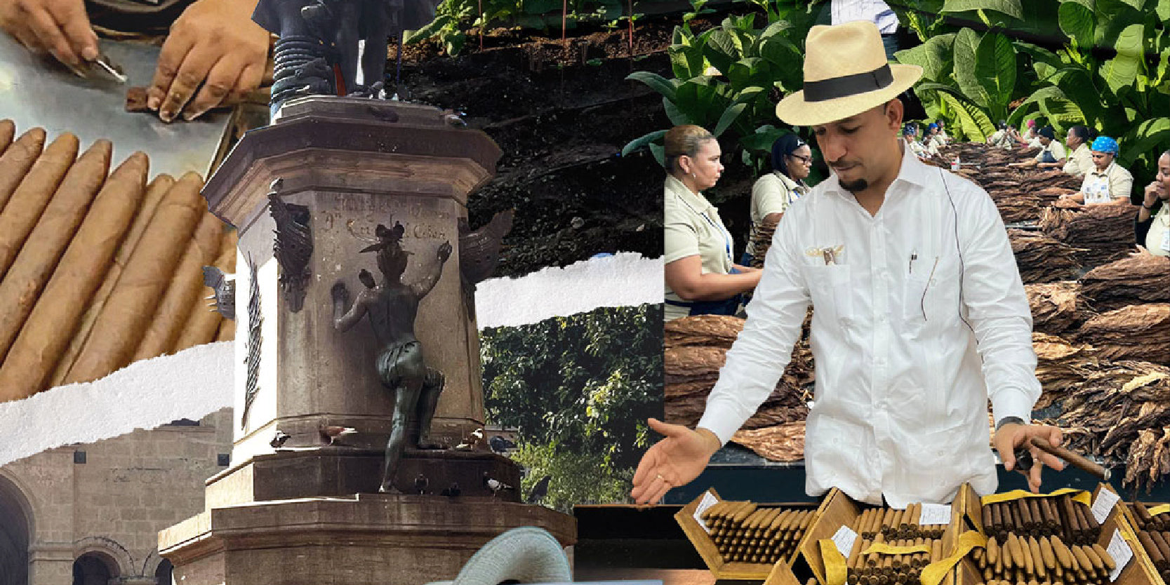 Journey from Crop to Shop | A tour to Davidoff cigars’ origin – nextCIGAR