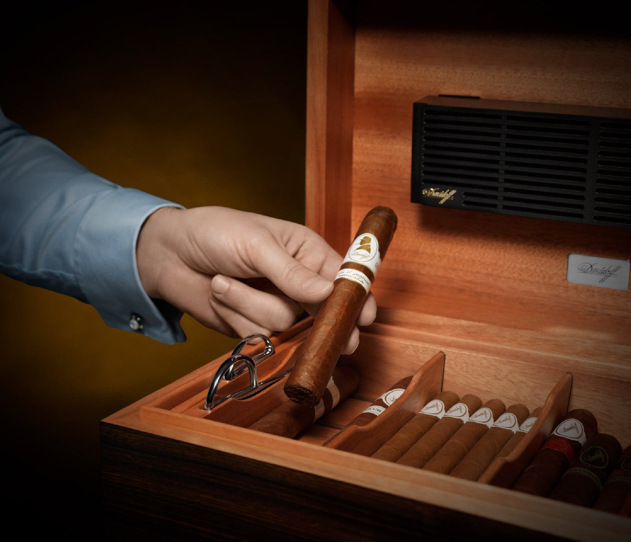 How to Stack Cigars in a Humidor – nextCIGAR