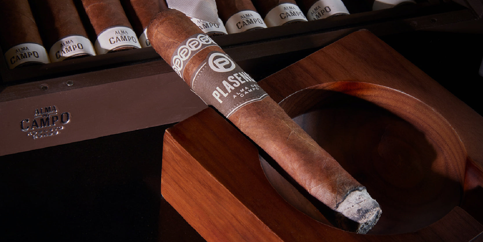 Editors’ pick | Plasencia Alma del Campo Guajiro – nextCIGAR