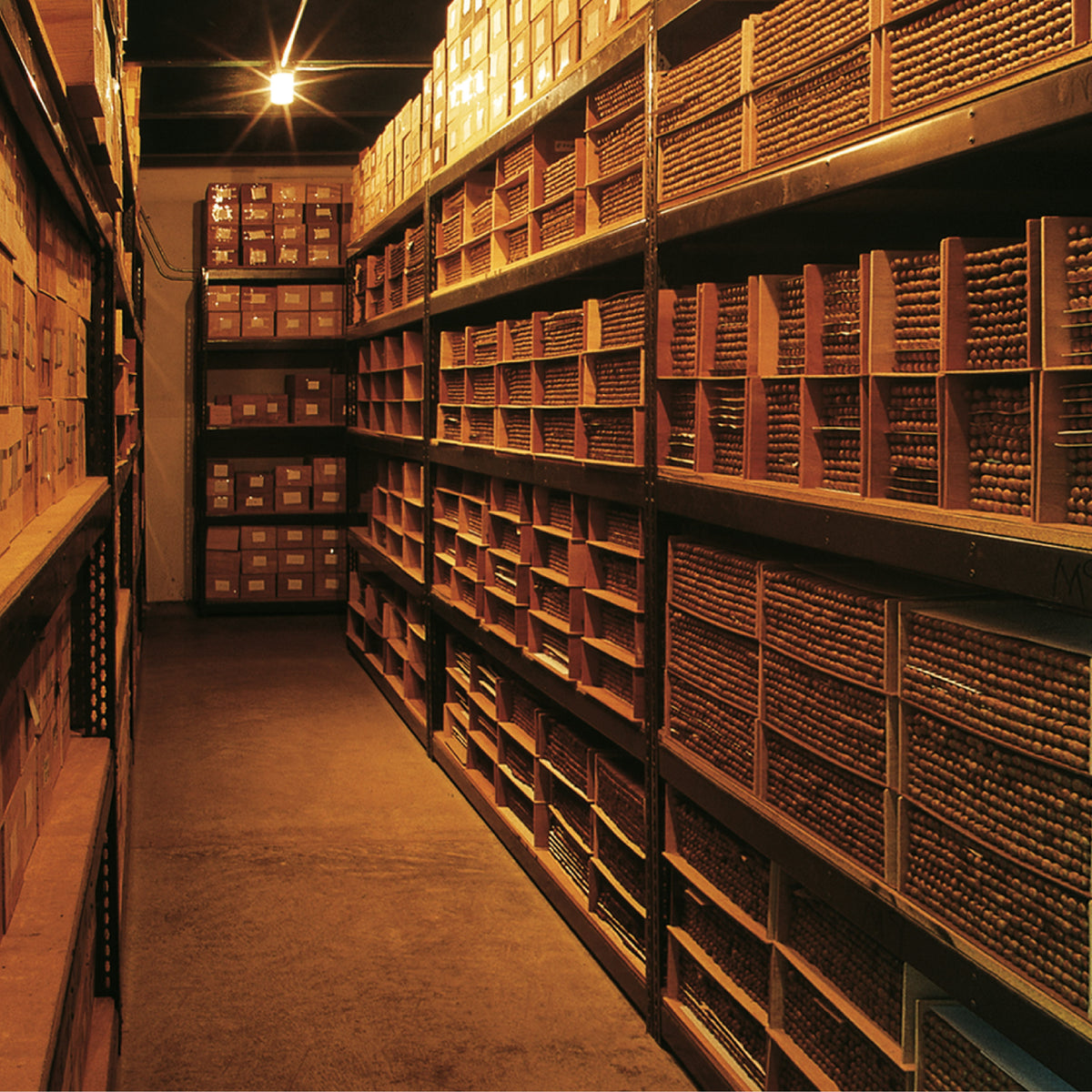 Vintage Cigars: Why You Should Try Them